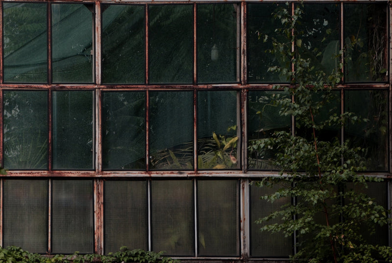 Tips and Tricks for Restoring Glass Clarity and Shine After Deep ...